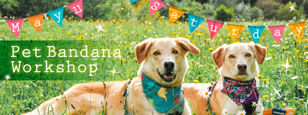 Event Registration - Habitat for Humanity Anchorage